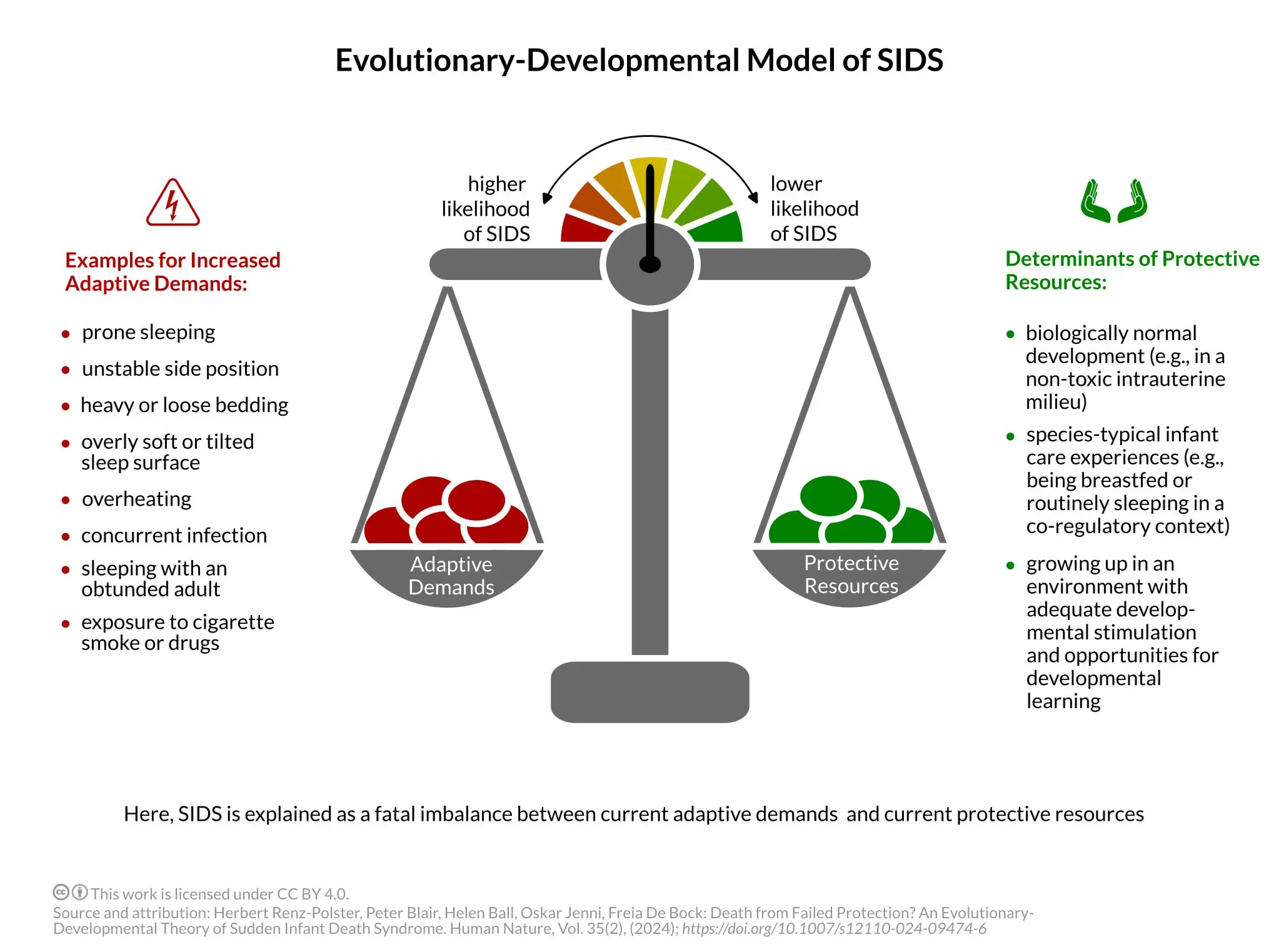 SIDS - European research group presents explanatory model | kinder ...